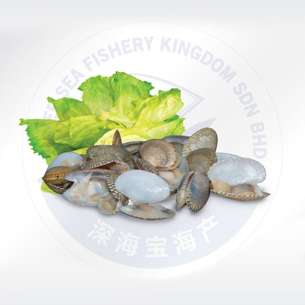 Shell Fish – Deep Sea Fishery Kingdom