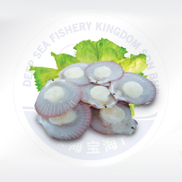 Shell Fish – Deep Sea Fishery Kingdom